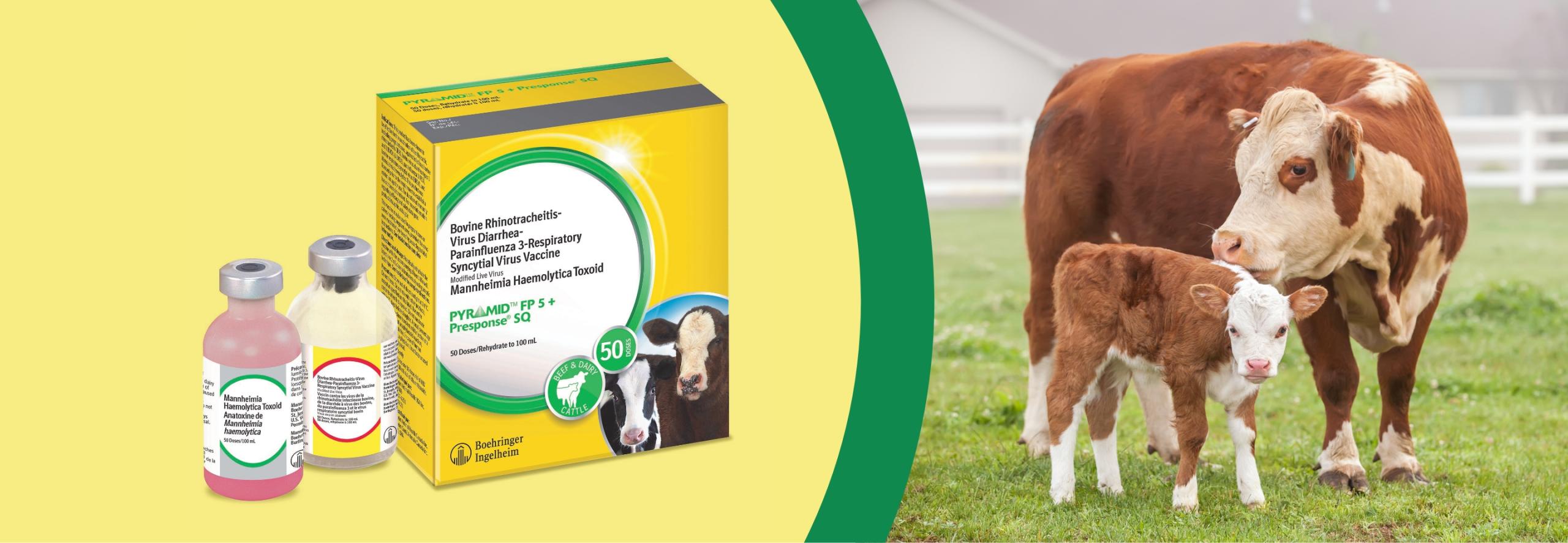 Pyramid® FP5 + Presponse® vaccine | Boehringer Ingelheim