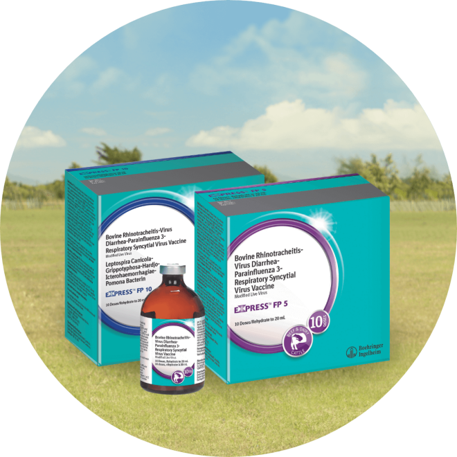 Express® vaccines | Boehringer Ingelheim