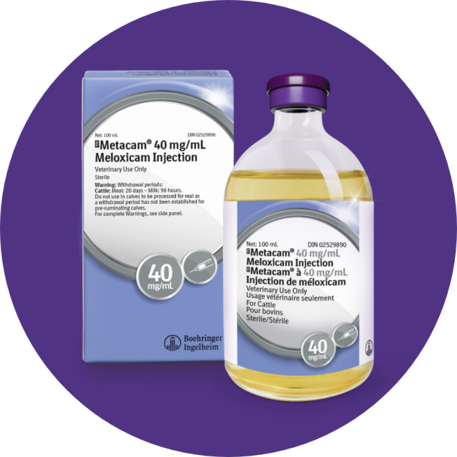 Metacam® solution for injection | Boehringer Ingelheim