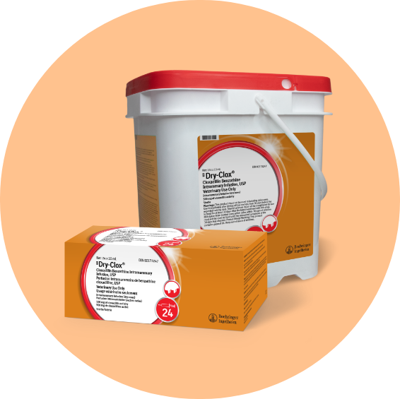 Antimicrobials - fast, effective treatment | Boehringer Ingelheim